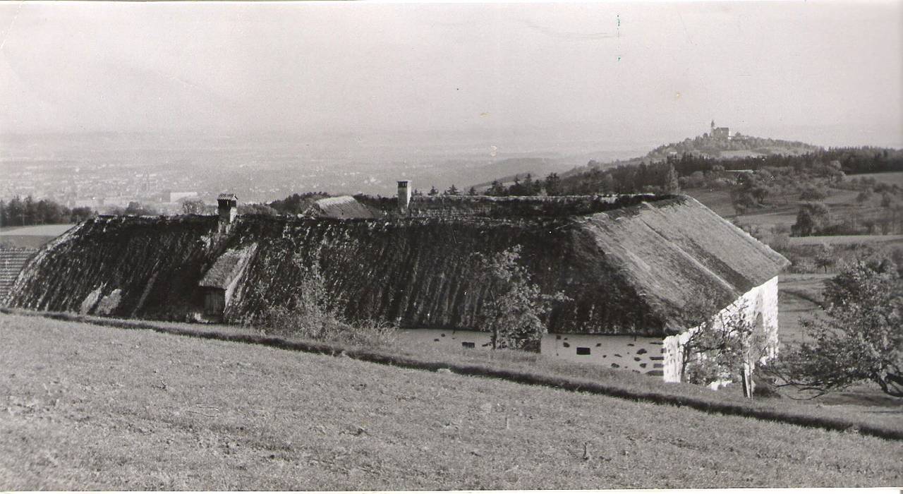 Bauernhof Wiesinger
